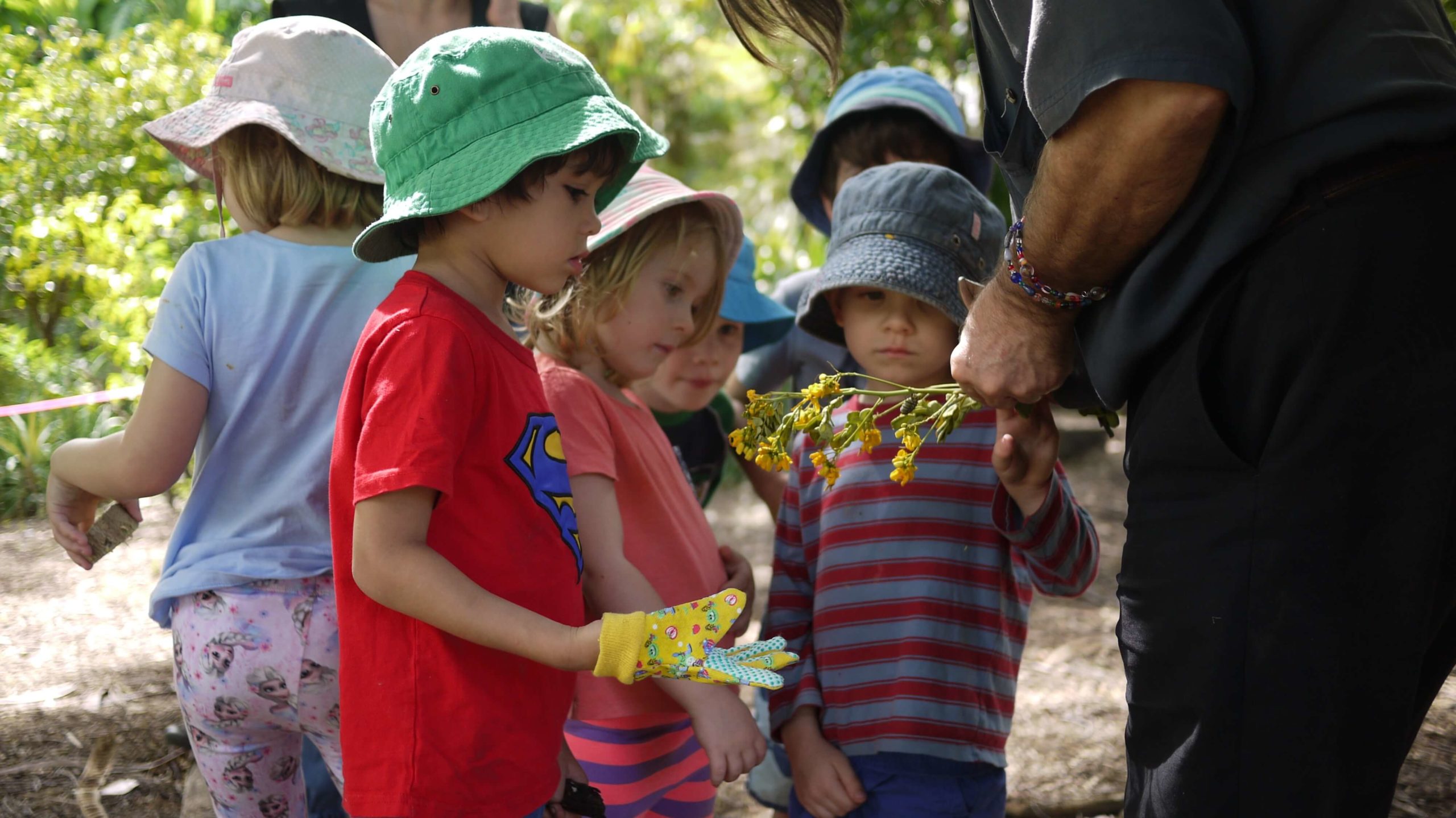 Our Activity Providers | Nature Play QLD