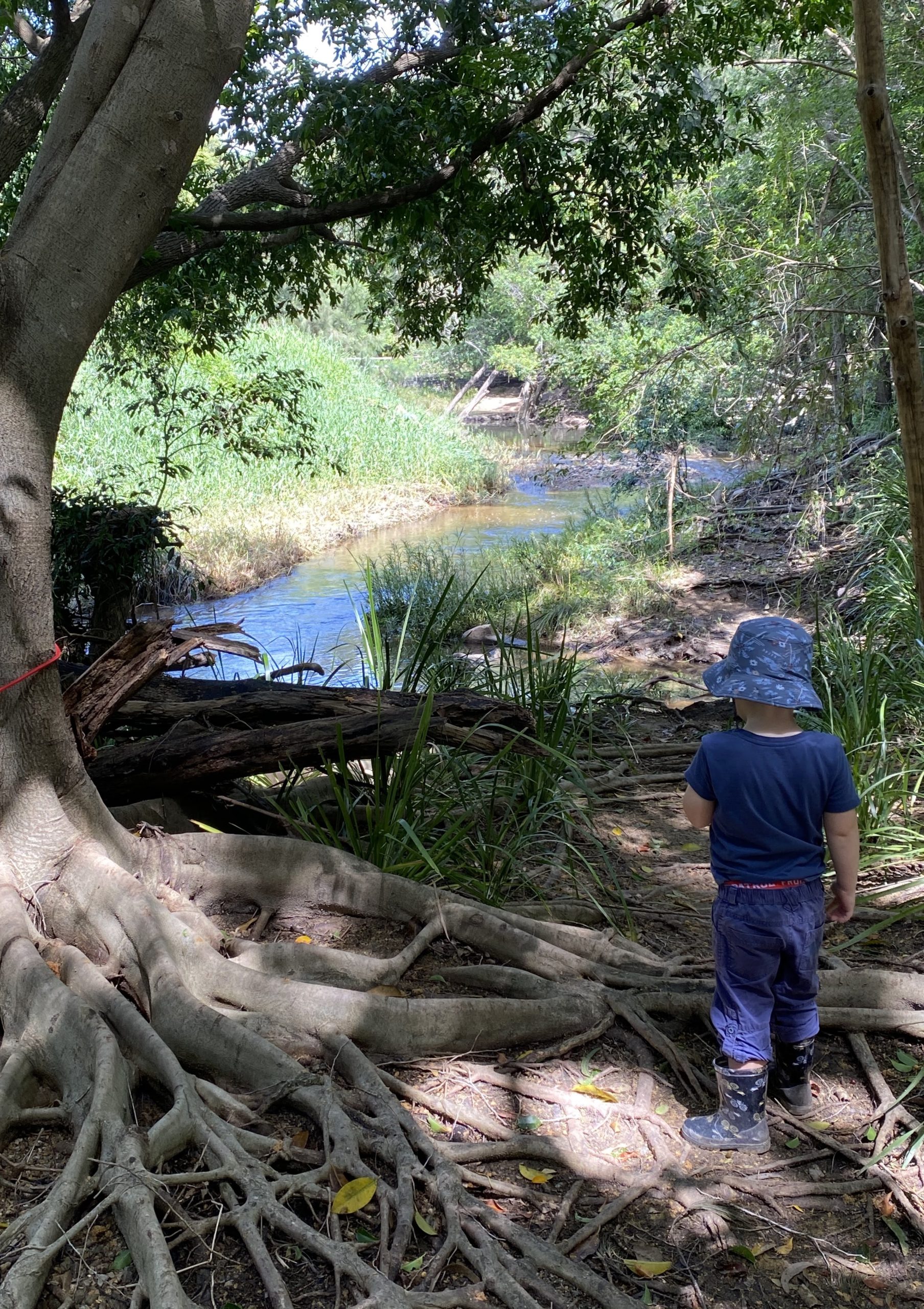 Bush Knowing Forest School | Nature Play QLD