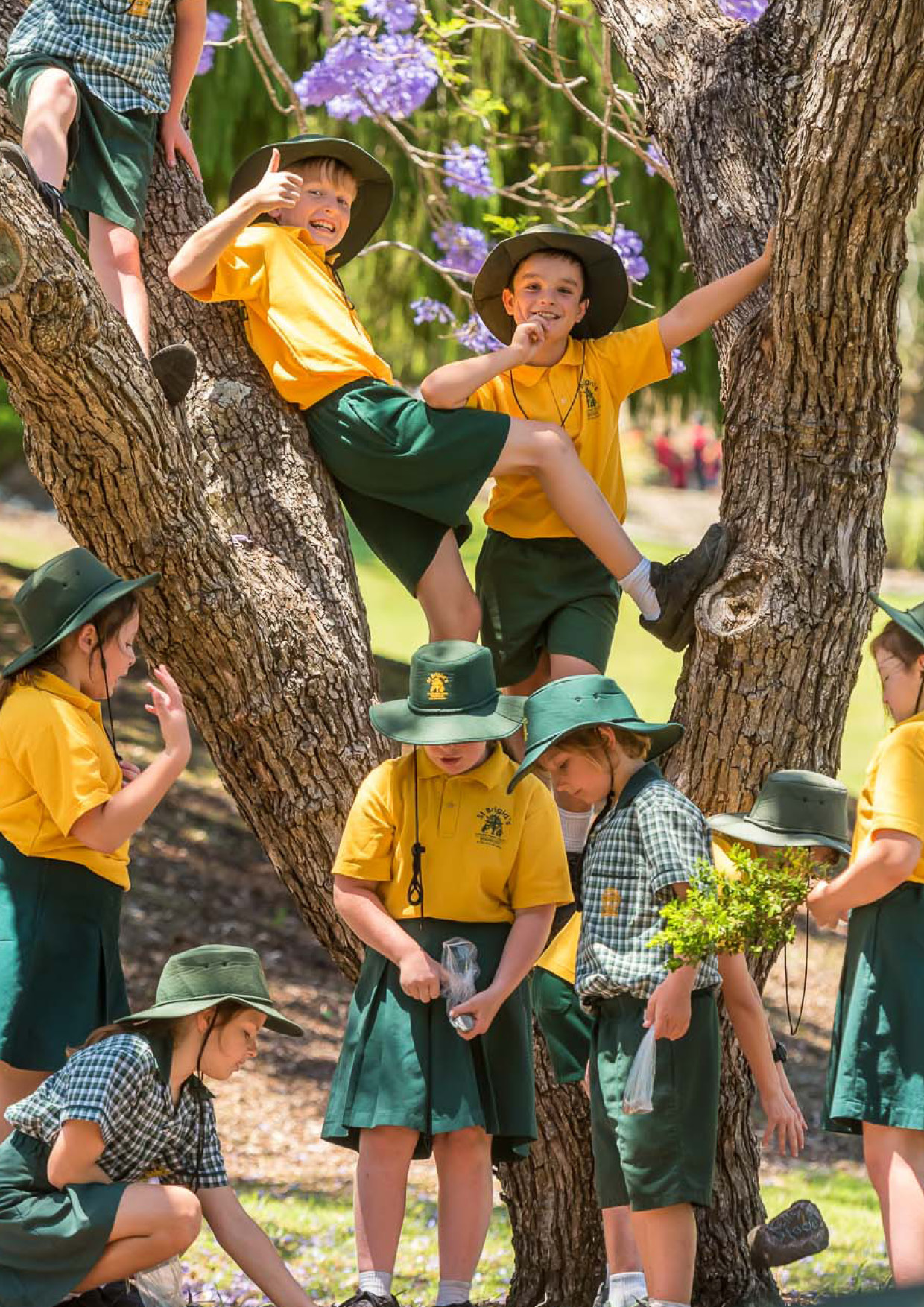 Nature and it's Influence on Children's Outdoor Play | Nature Play QLD