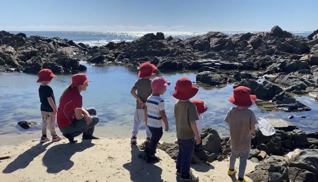 The Why.... | Nature Play QLD