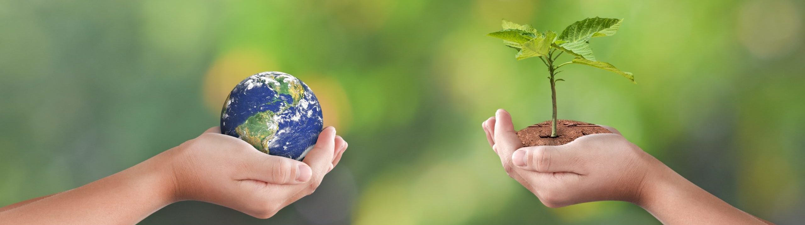 Nature Warriors Organisations | Nature Play QLD